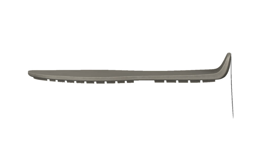 Shoe Sole - PG Cad